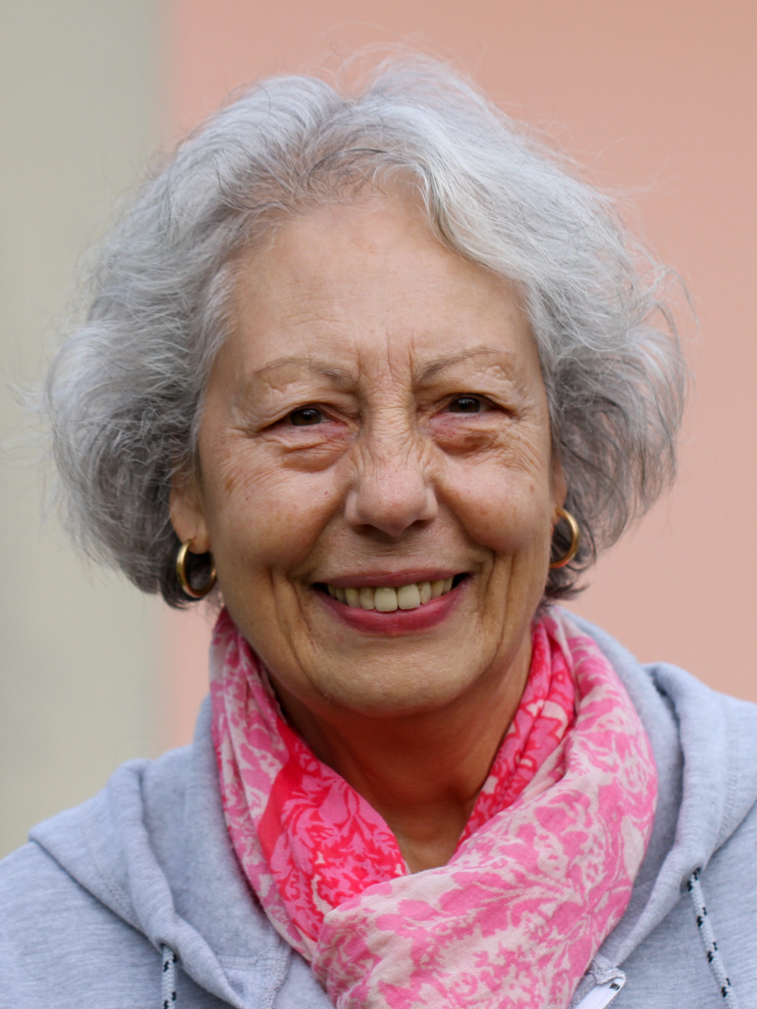 Conseil municipal – Choisel